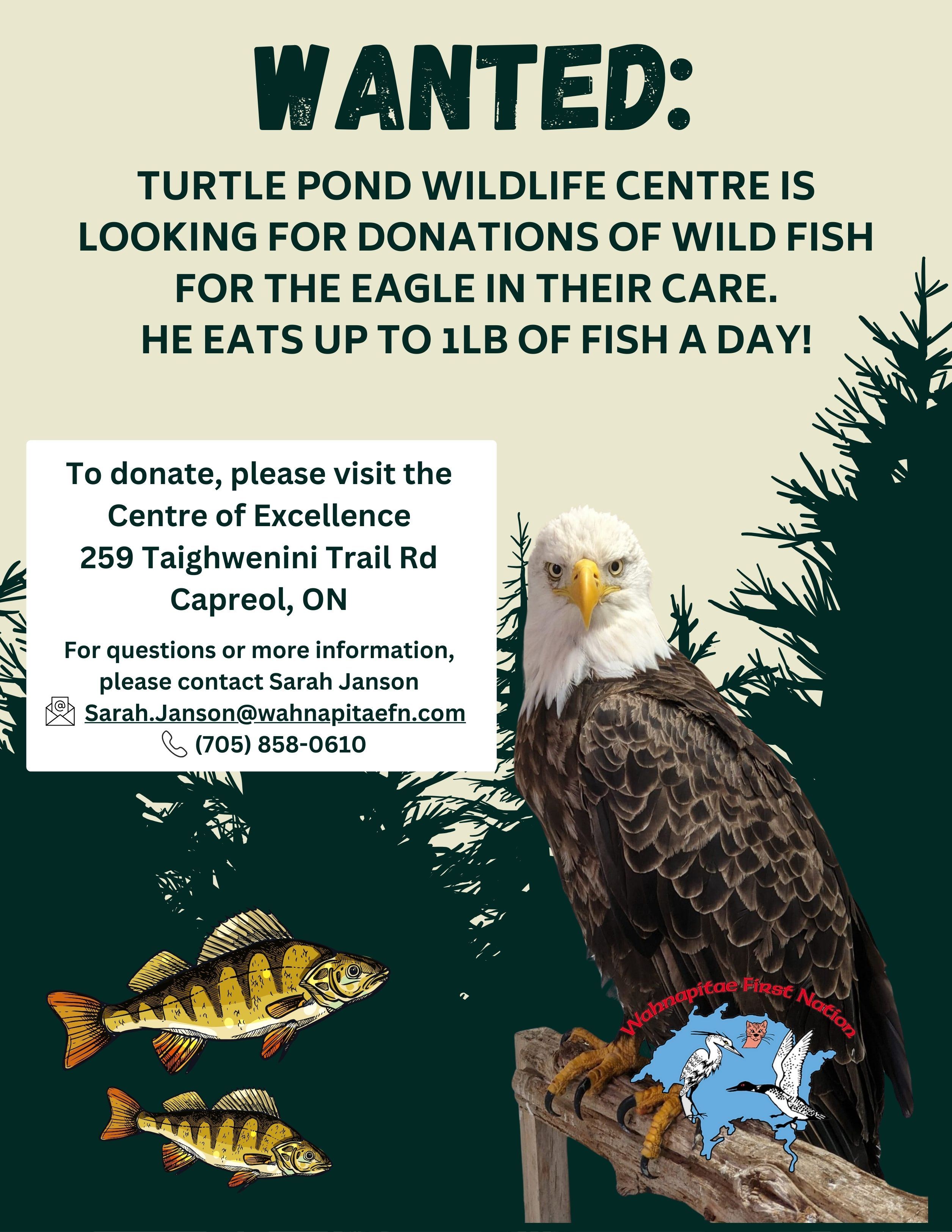 Notices - Wahnapitae First Nation